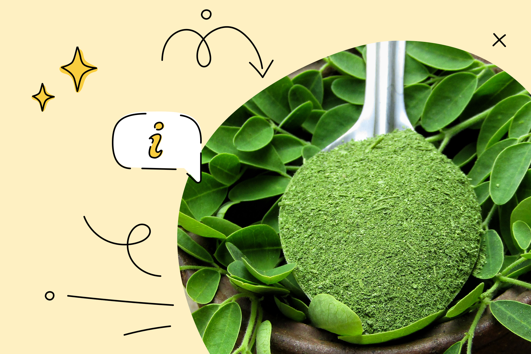 All About Moringa: Benefits, Risks, Dosage — Unimeal